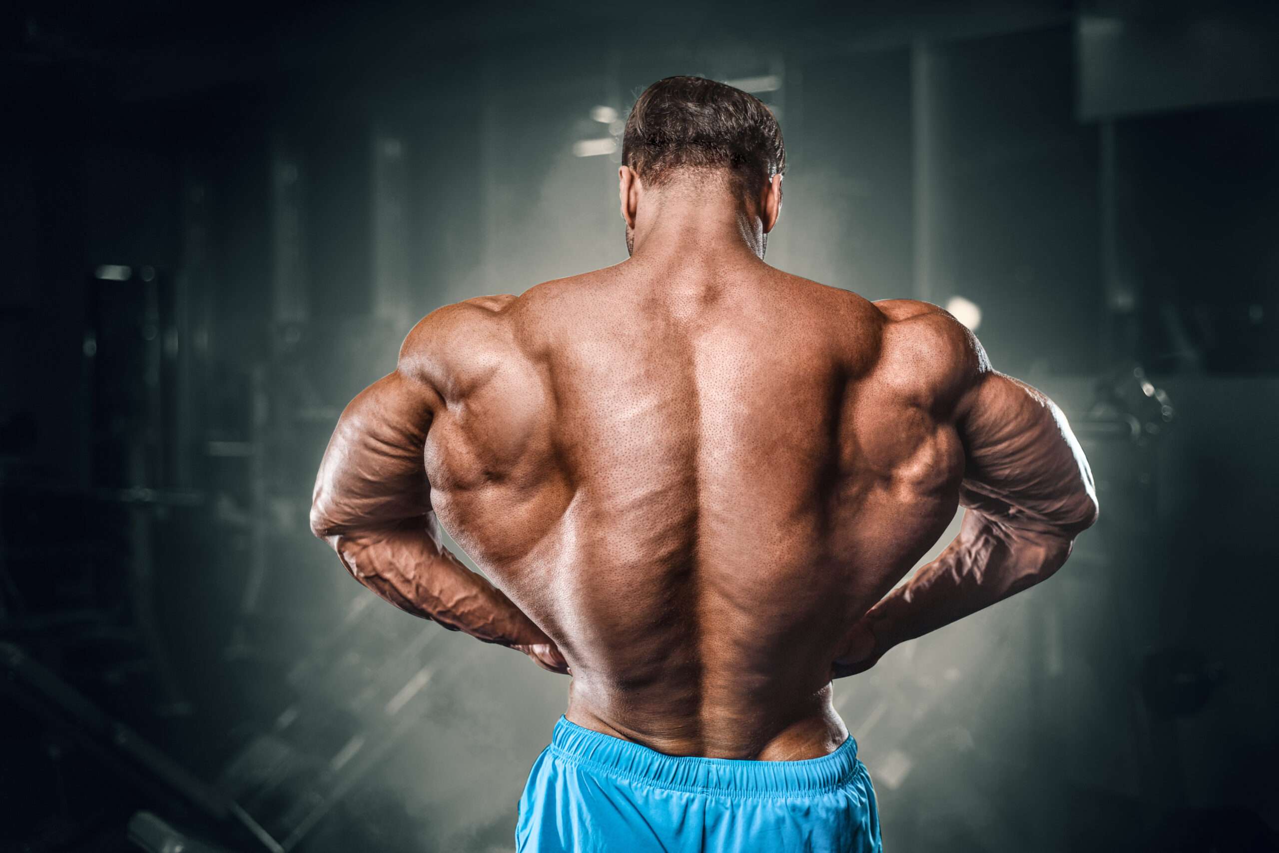 Back and Shoulder Workout for Big Muscles