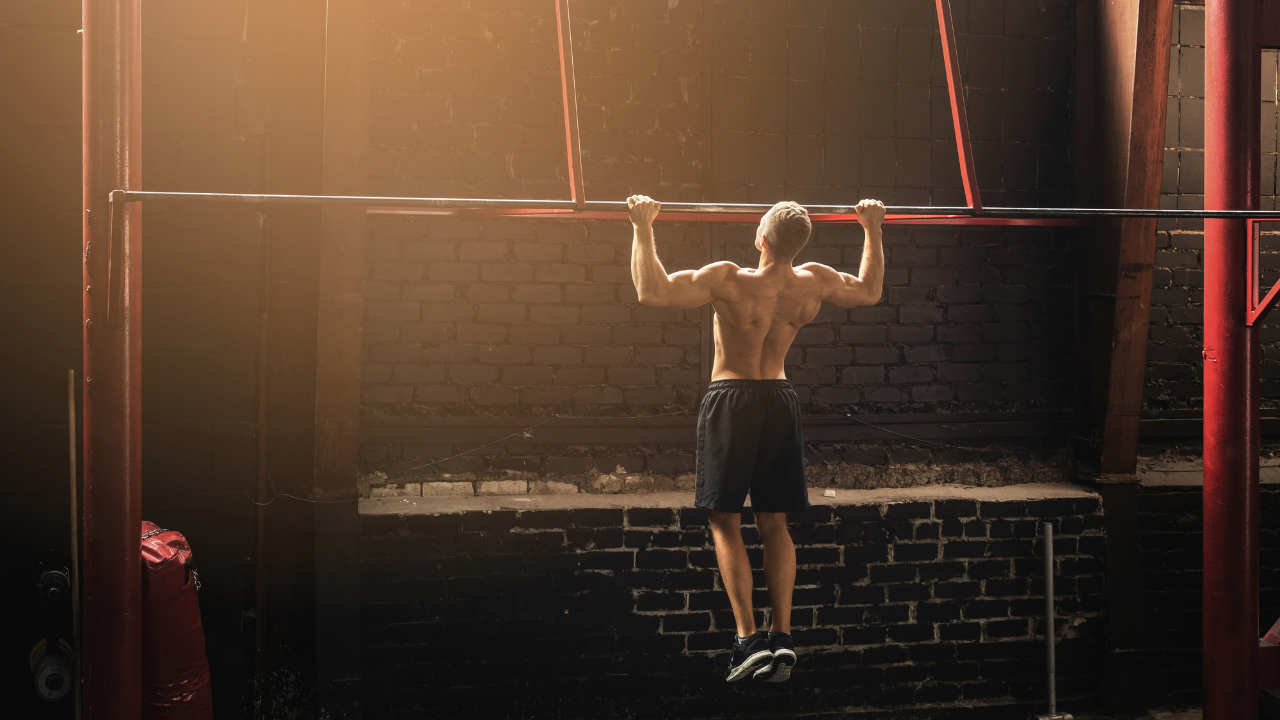 10 Pull Day Workouts for Muscle Growth