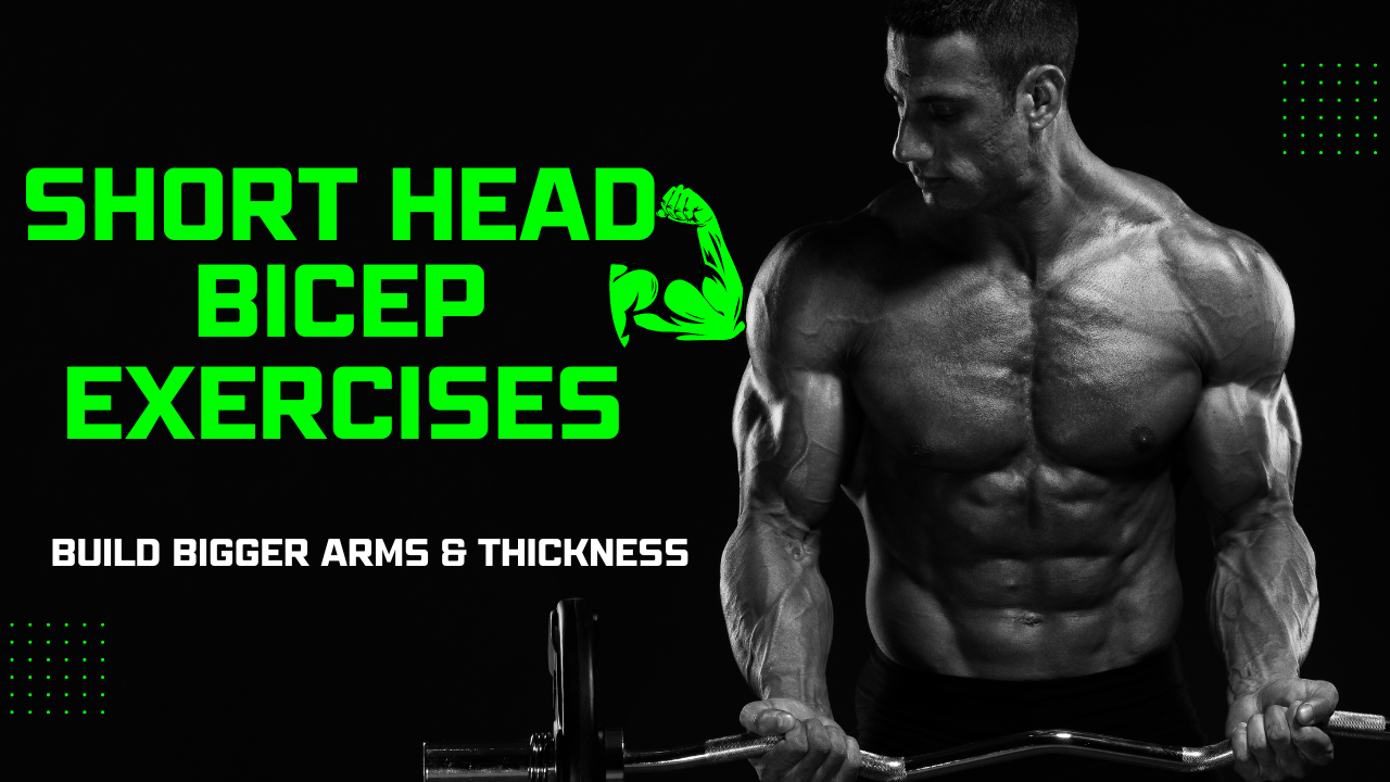 Blog - The Healthy Evolution